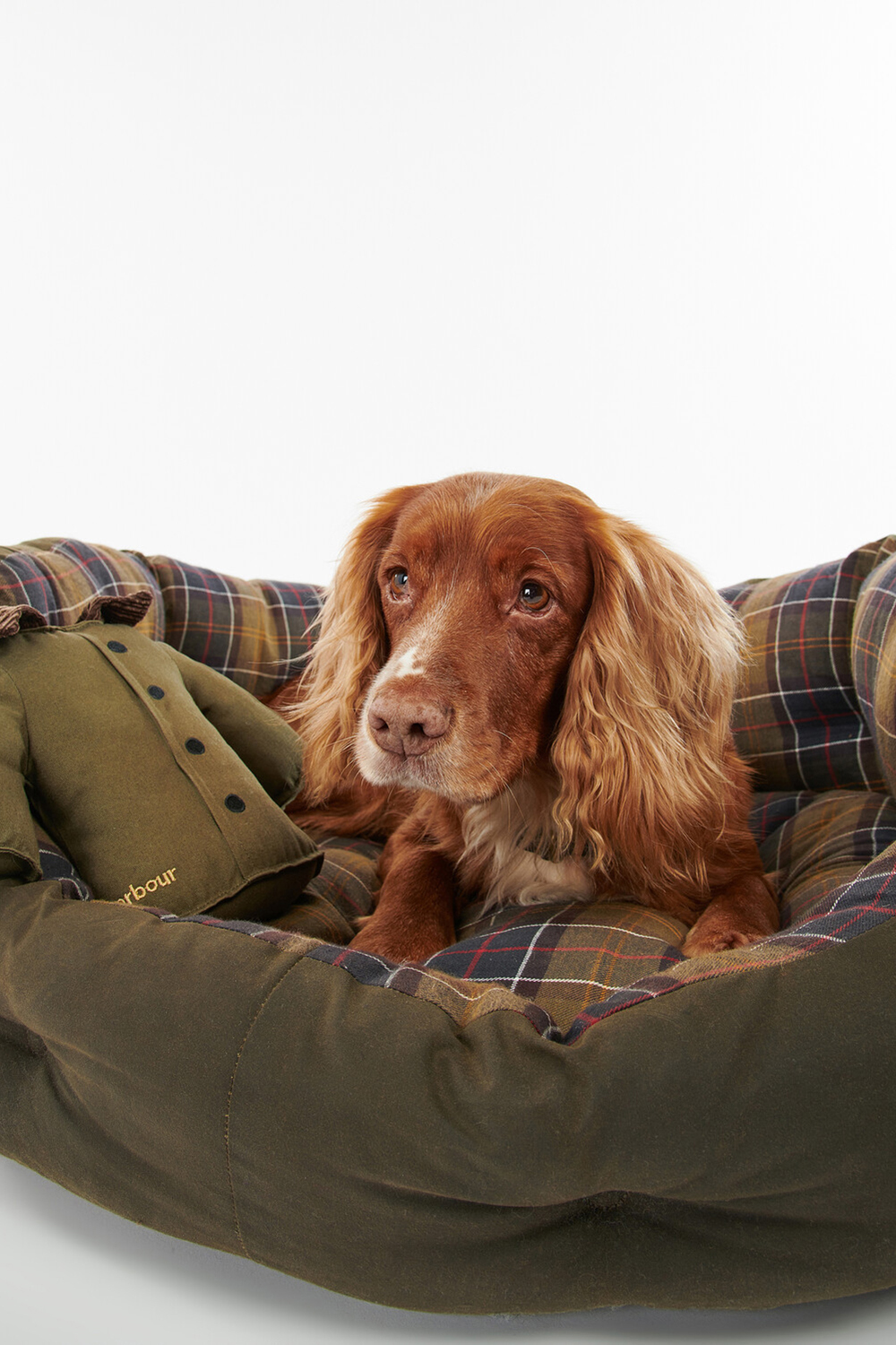 Juguete Perro Jacket Barbour | ILikeToBuy | Tienda Online Oficial ...